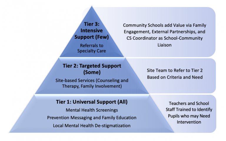 Funding and strategies to address the youth behavioral health crisis